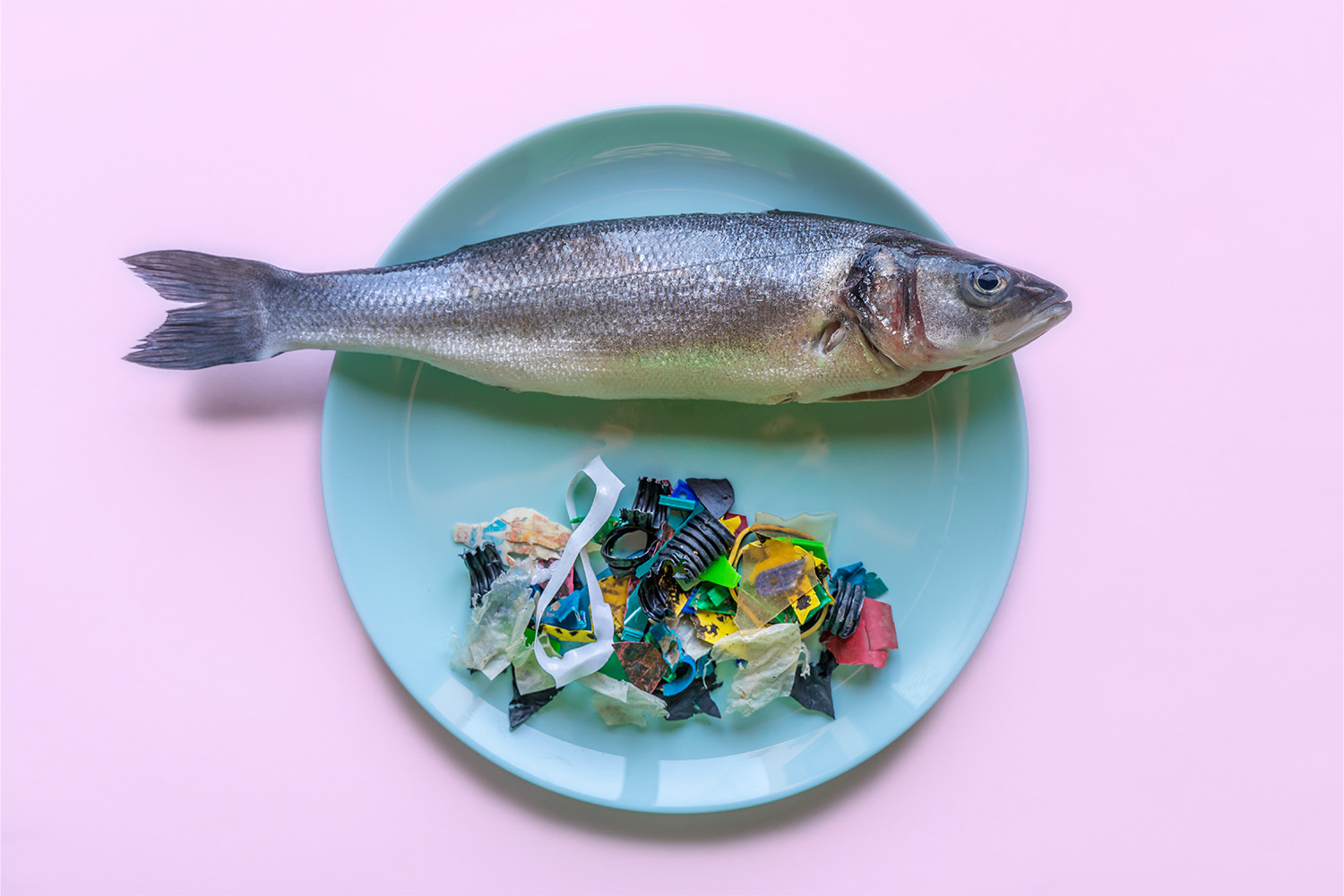 FYI: You're Eating an Insane Amount of Plastic Every Week - InsideHook