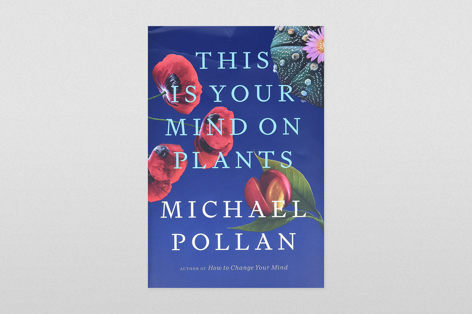 The 10 Books You Should Be Reading This July 2022 - InsideHook