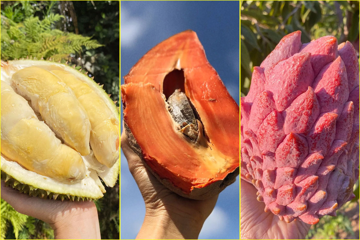 “It’s Just About the Big Phallic Avocado”: We Sat Down With Miami’s ...