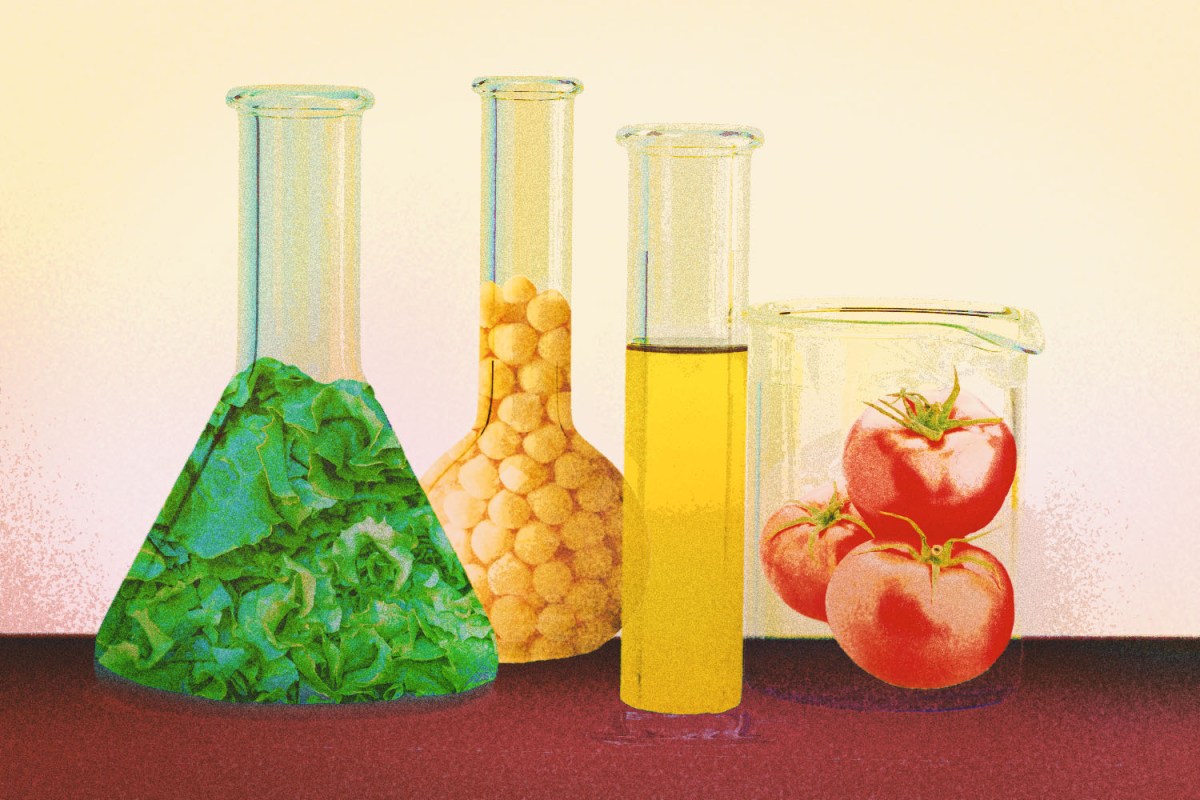 You Have to Try This Recipe From an Online Salad Sensation - InsideHook