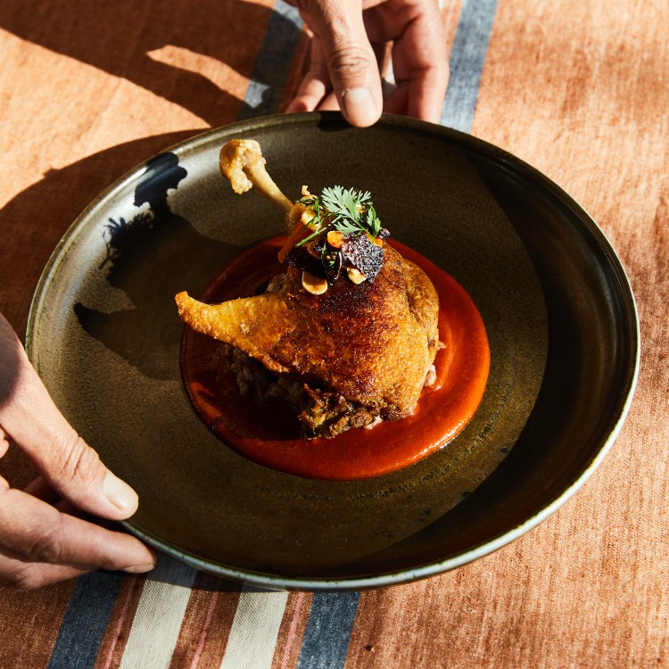 The Other Gold Rush: El Alto Taps Into California’s Apricot Legacy ...