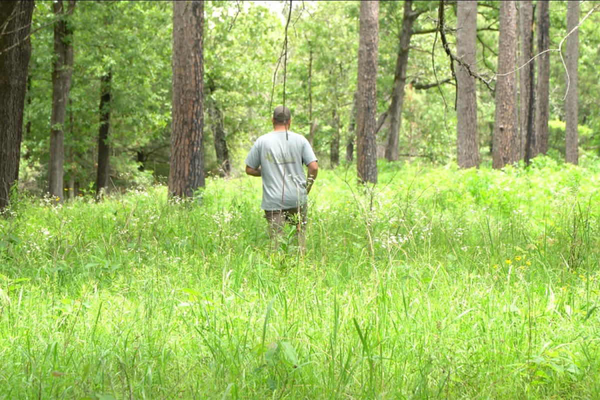 Kyle Lybarger Wants to Save the Planet (And Kill Your Lawn) - InsideHook