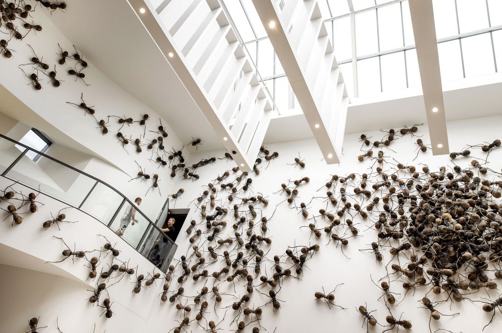 Amsterdam Art Museum Uses Real Bugs In New Exhibition - InsideHook