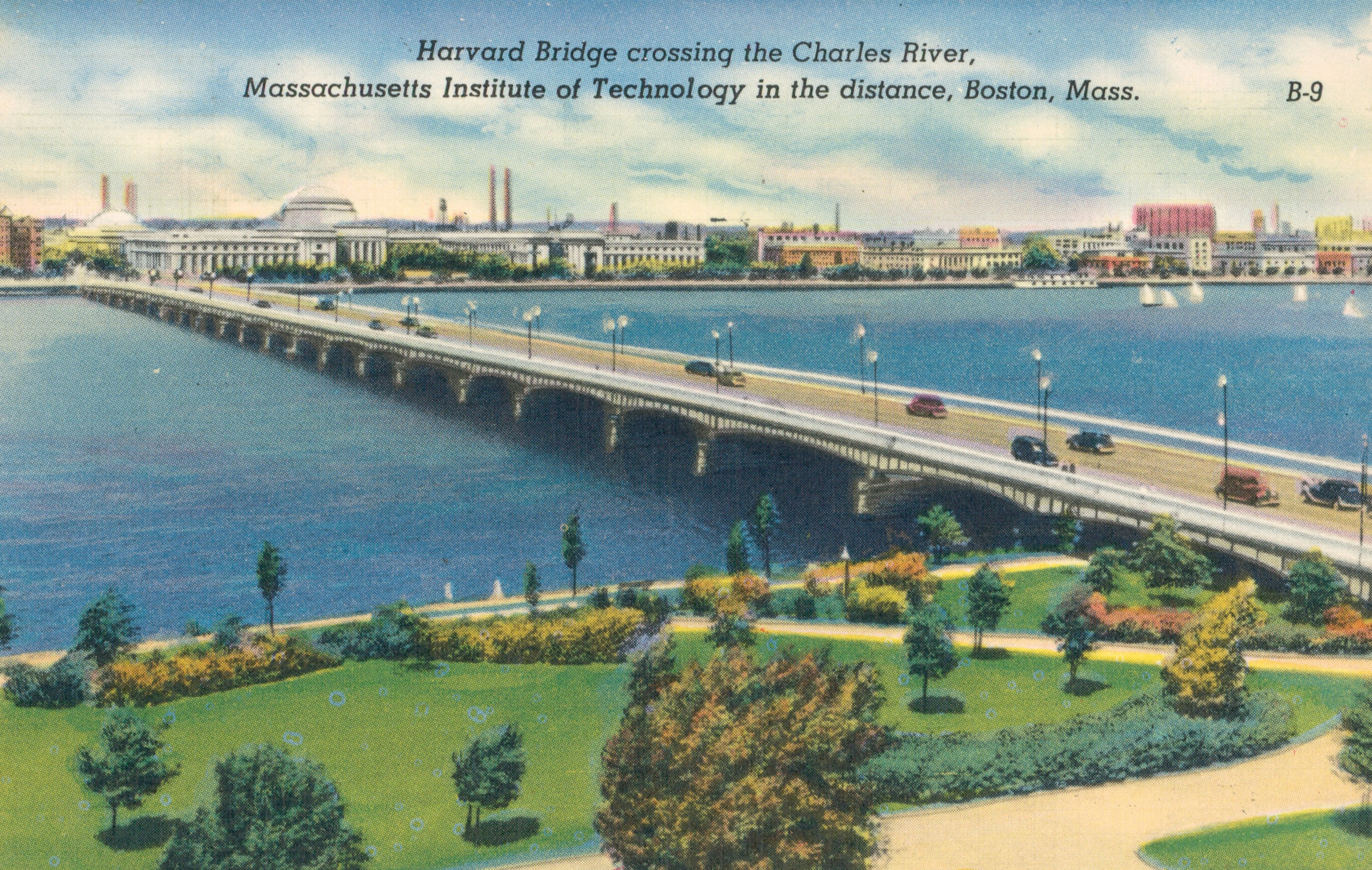 When Boxing Was a Required Class at Harvard - InsideHook