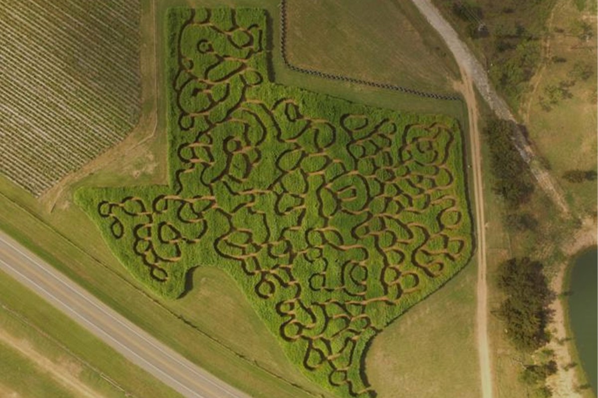 Get Lost in the 10 Best (And Most Complex) Corn Mazes in Texas - InsideHook