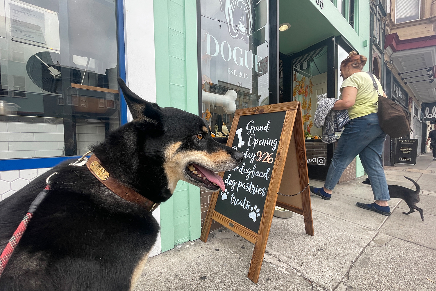 Our Writer Went to SF's New Dog Restaurant: Dogue's Bone Appetit Cafe ...