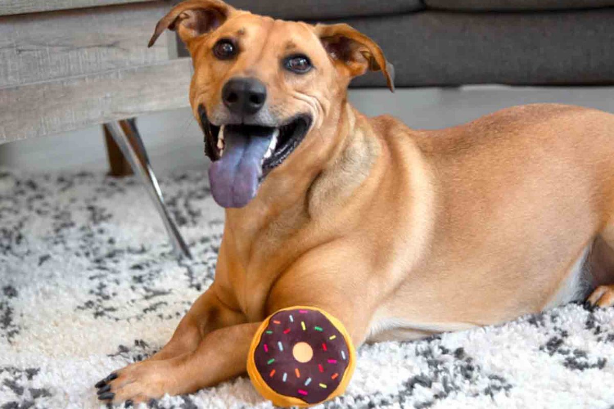 Cannabis-Infused Gravy, Dunkin' Dogs and Balvenie 60 Year - InsideHook