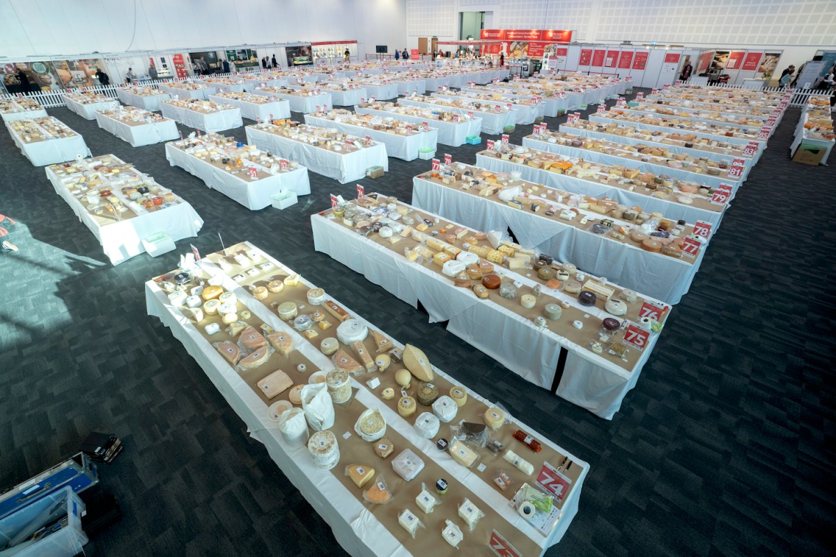 This Is What It’s Like to Judge the Oscars of Cheese - InsideHook