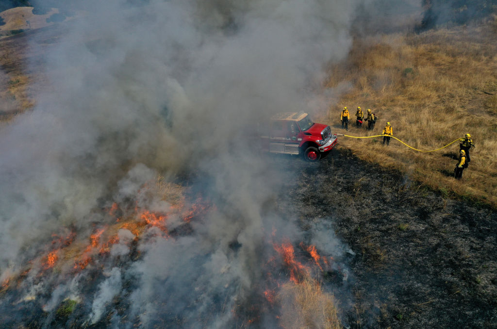 Controlled Burns Are Important for Conservation - InsideHook