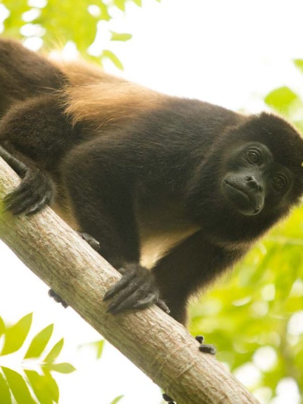 Panama's Azuero Peninsula Trip Photography - InsideHook