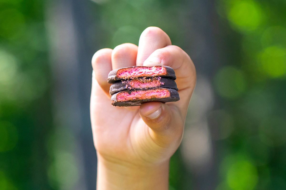 The Raspberry Rally Girl Scout Cookie Is Debuting This Year Insidehook 5671