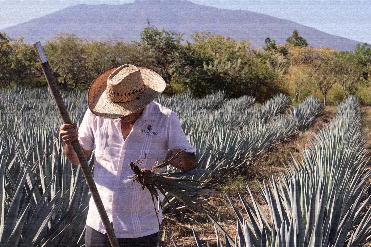 A Guide to Visiting Tequila, Mexico — Heaven for Fans of the Spirit ...