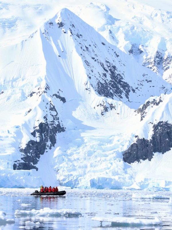 Antarctica Cruise Stunning Photography with Baby Seals, Penguins and ...
