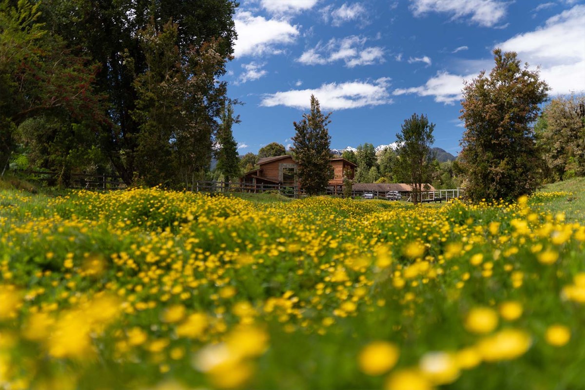 This Remote Patagonian Oasis Is the Perfect Outdoor Lodge - InsideHook