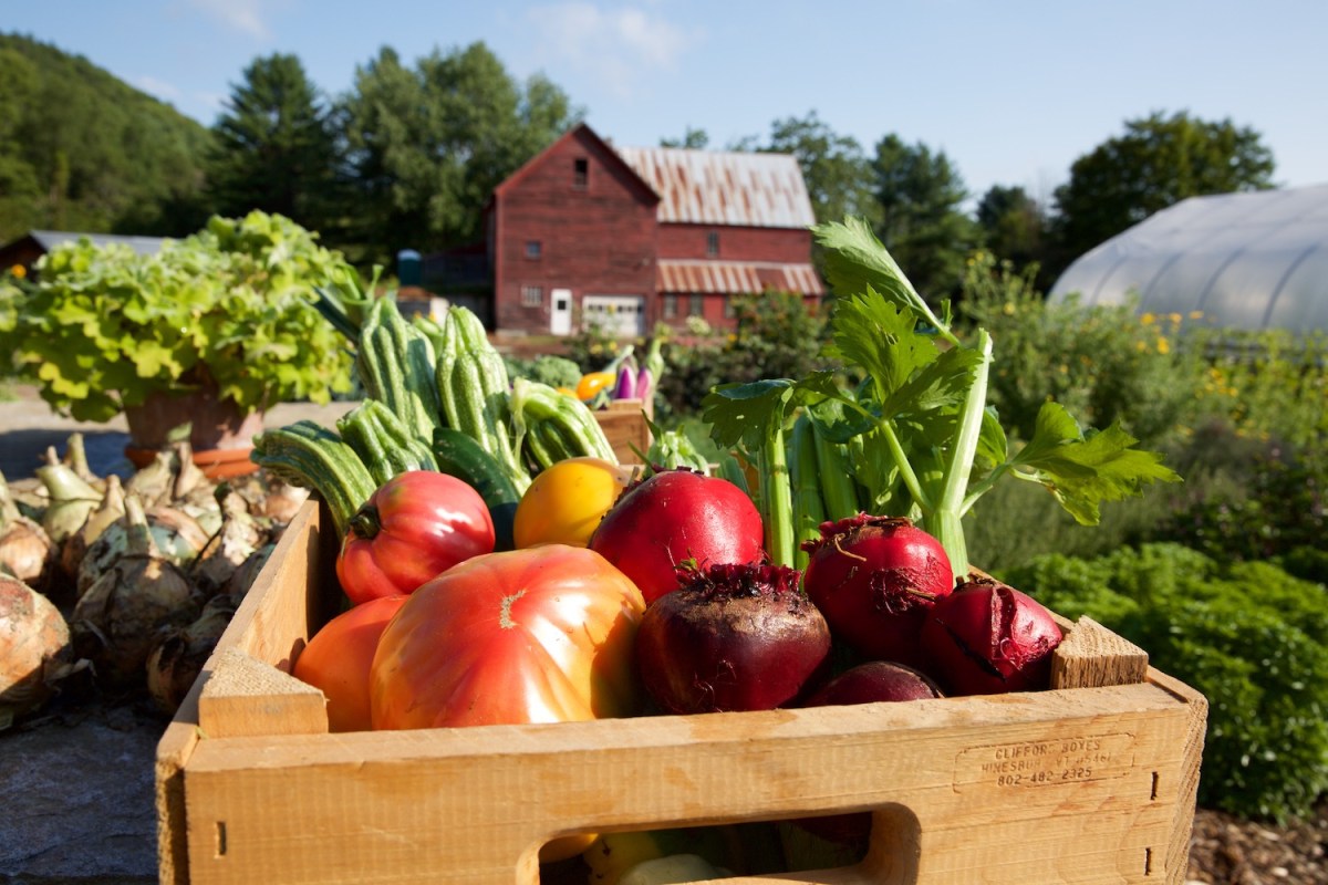 Spring Gardening: A Comprehensive Guide to Getting Started - InsideHook