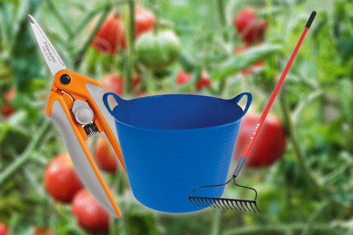 The Best Spring Gardening Tools for Novices - InsideHook