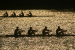 How to Get a Rowing Workout Without a Rowing Machine - InsideHook