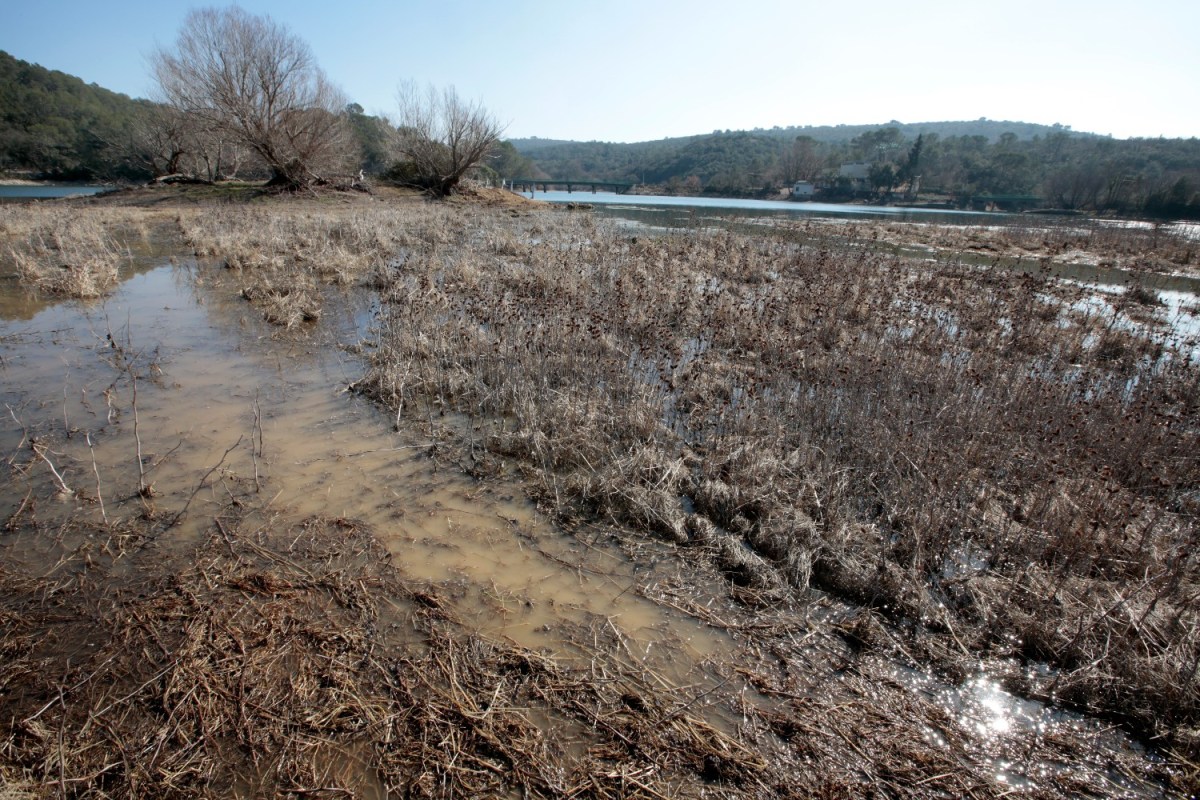 New Study: Over Half of the Planet's Lakes Are Shrinking - InsideHook