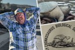 This Man Discovered "Chonkosaurus," Chicago’s Viral Turtle - InsideHook