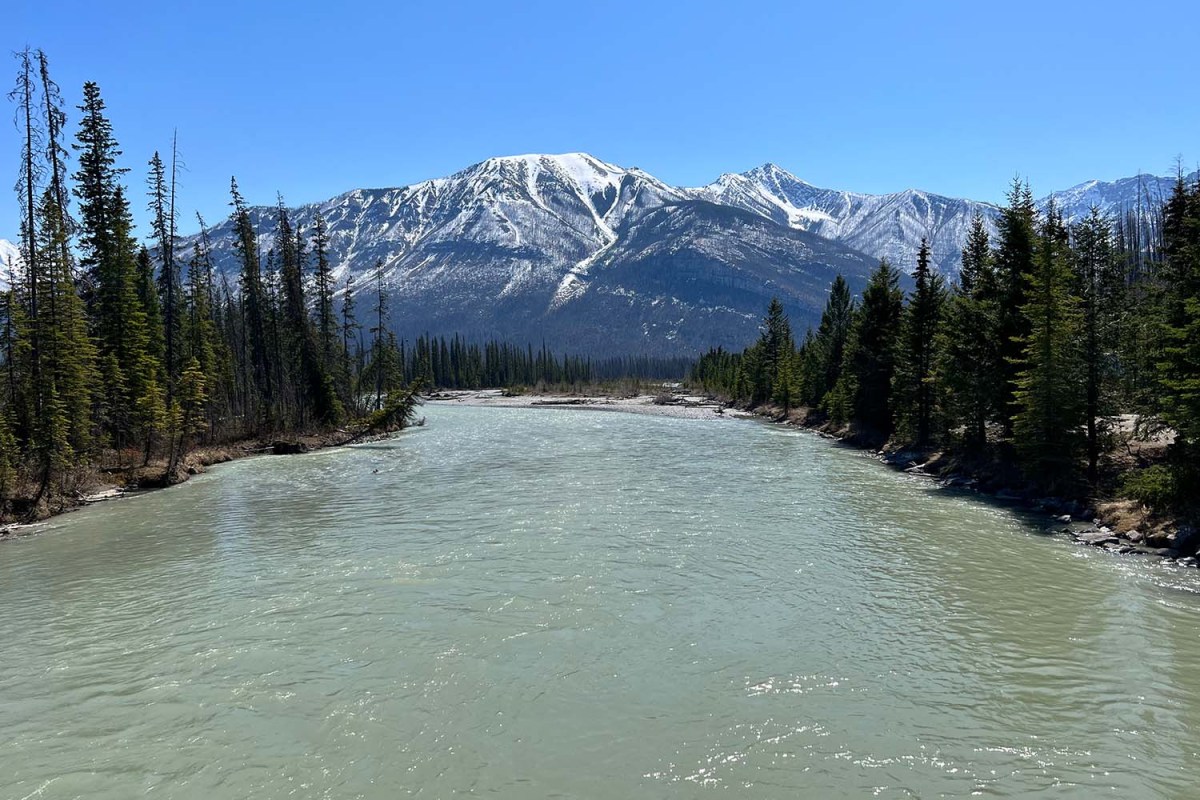 The Definitive Guide to Road Tripping Canada's Golden Triangle - InsideHook