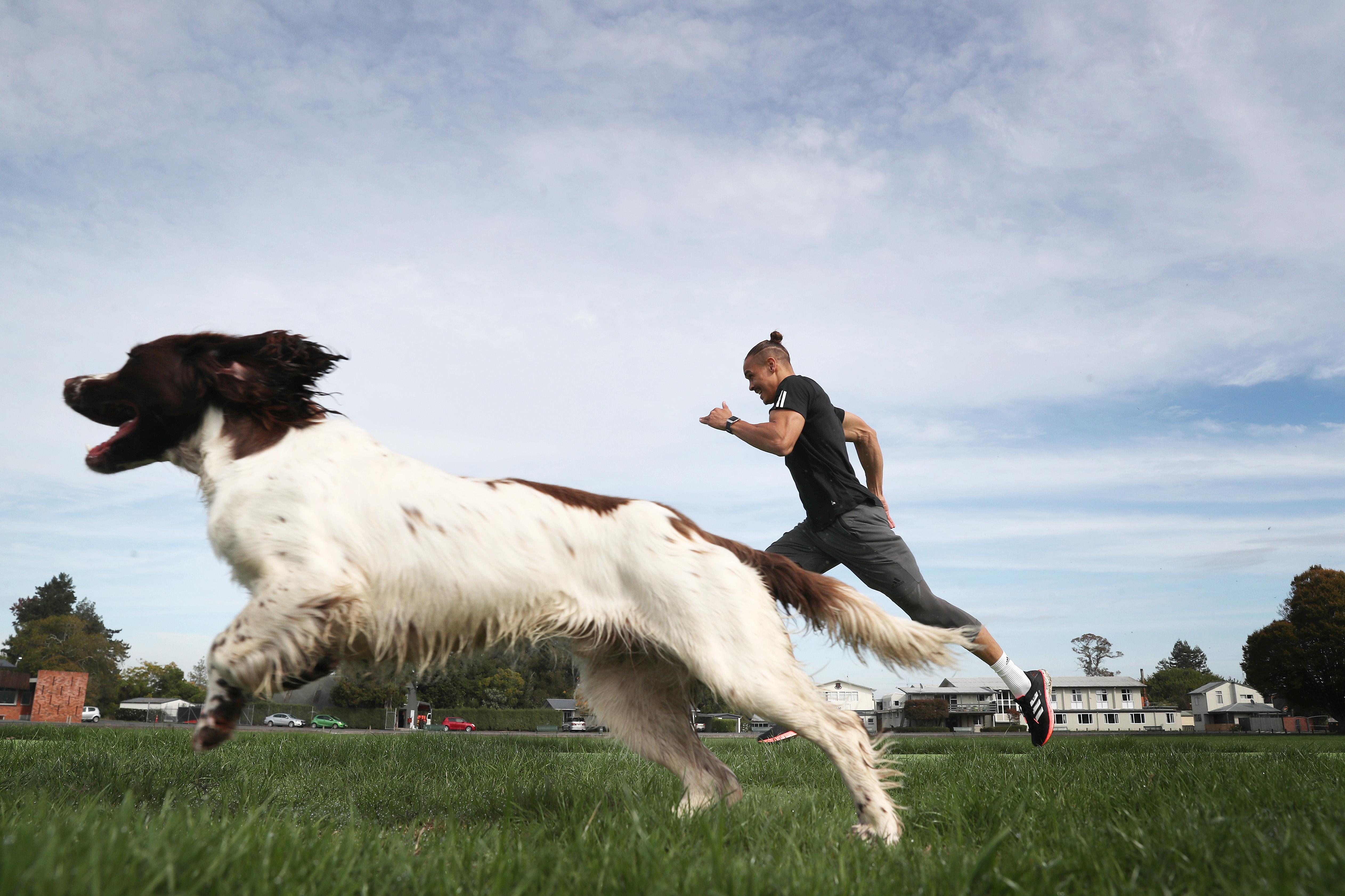 How to Work Out With Your Dog - InsideHook