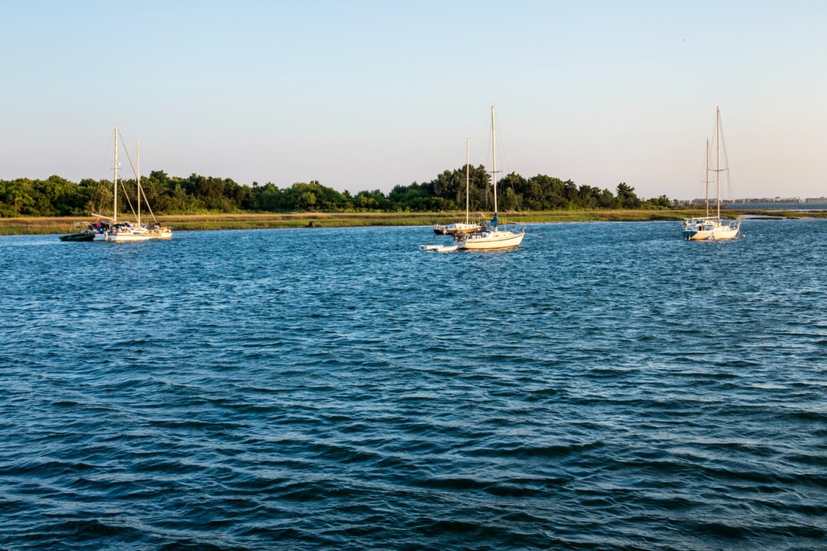 Mutilation Rule Disqualifies Marlin in Fishing Tournament - InsideHook