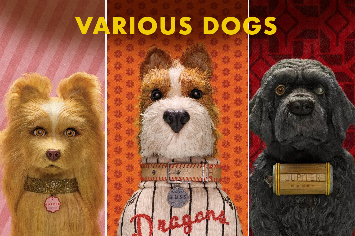 The Definitive Ranking of Every Single Wes Anderson Character - InsideHook