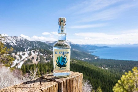 The 5 Best Certified Organic Tequilas - InsideHook