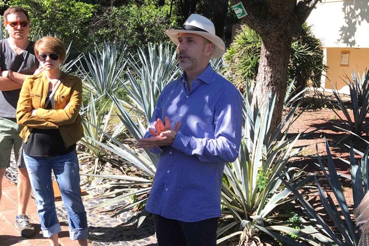 The 5 Best Certified Organic Tequilas - InsideHook
