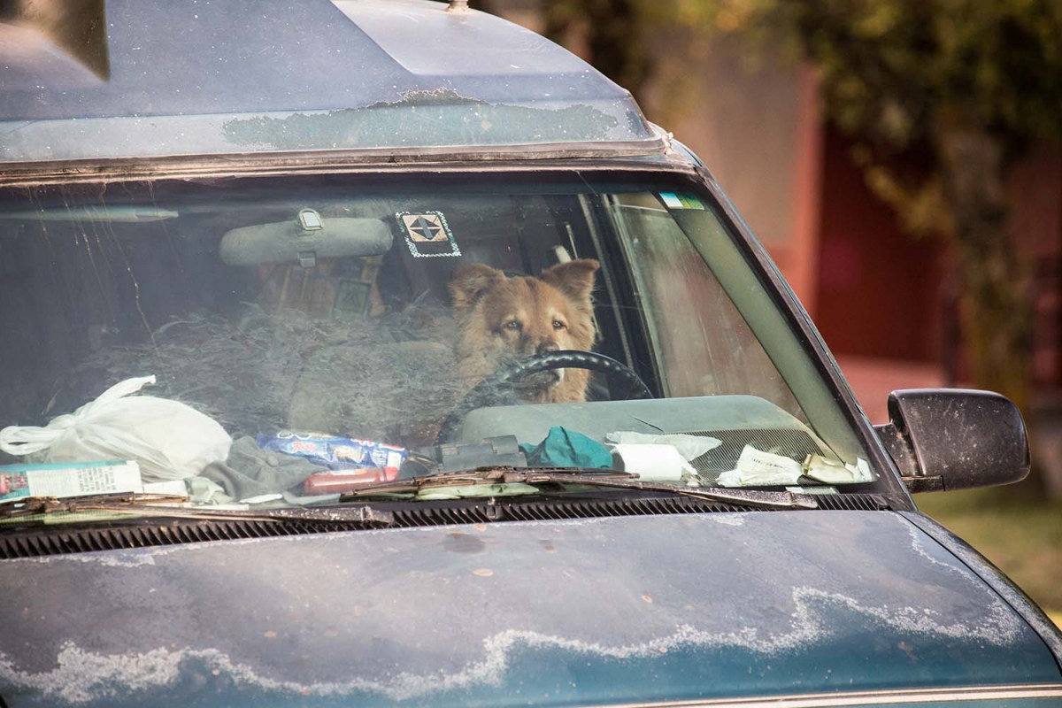 Brown Trout and Empanadas: Trout Fishing in Patagonia - InsideHook