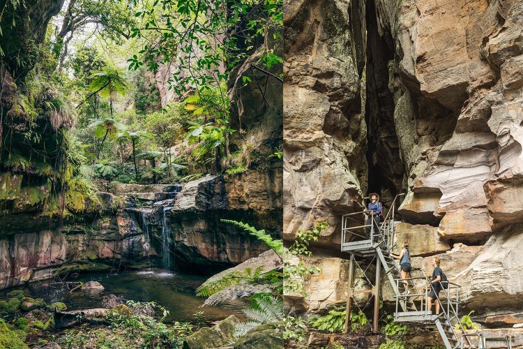 Carnarvon Gorge Is Australia's Best Hiking Destination - InsideHook