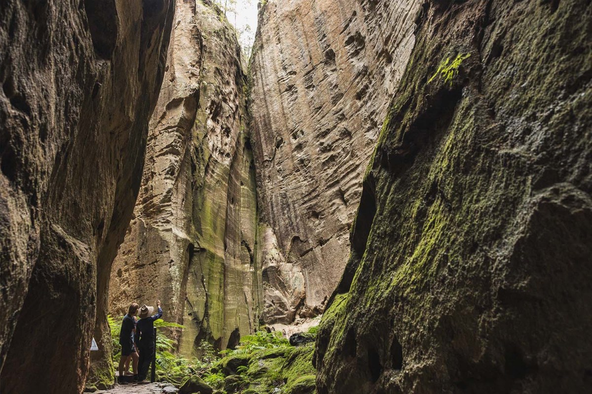 Carnarvon Gorge Is Australia's Best Hiking Destination - InsideHook
