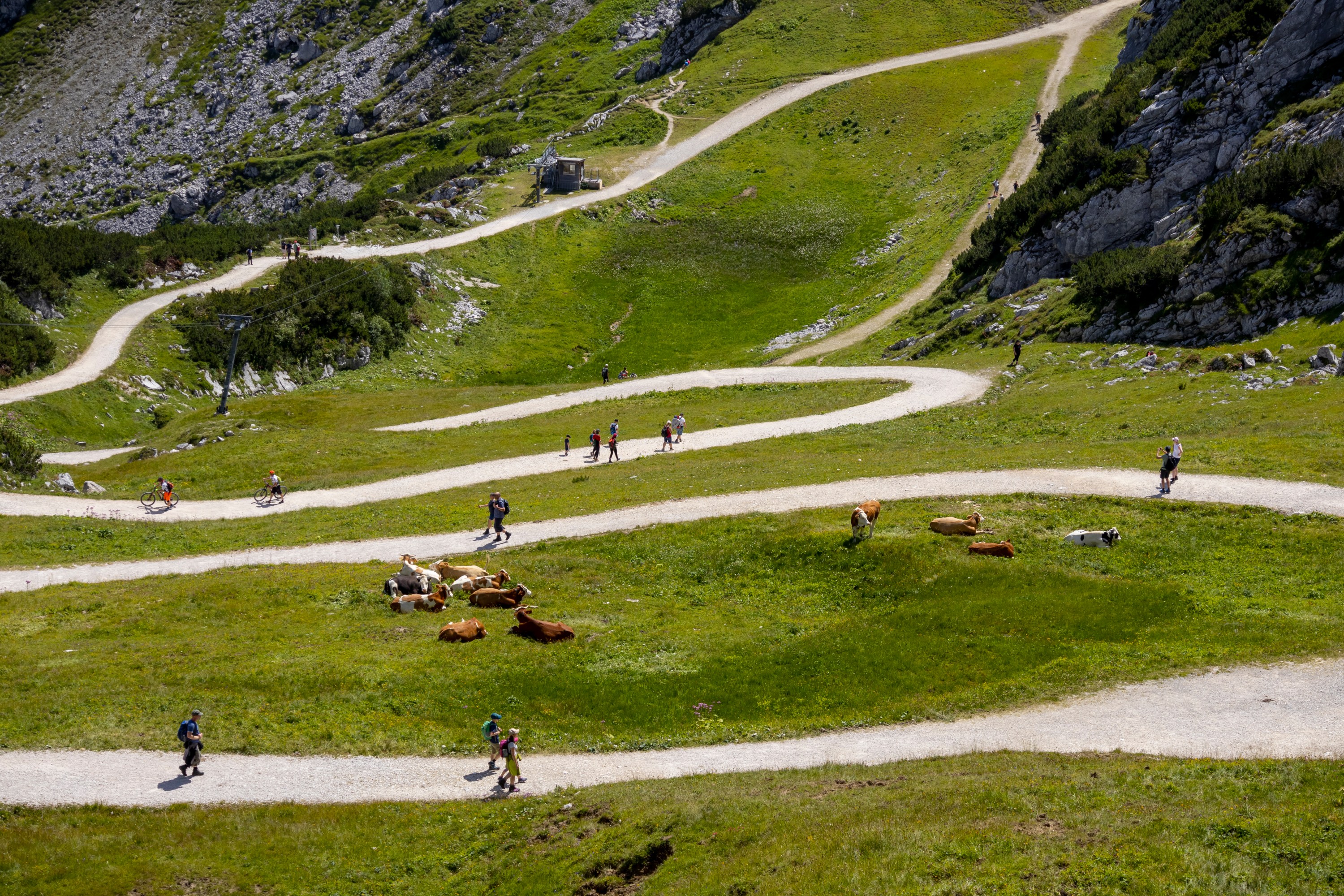 A Guide to "Cardio Recovery," the Biometric You Need to Know - InsideHook