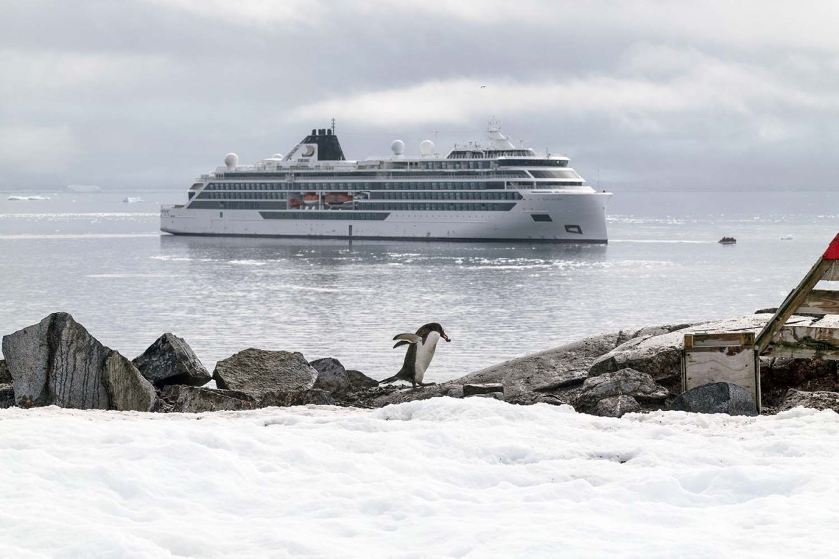 Expedition Cruising Is Appealing to a More Adventurous Traveler ...