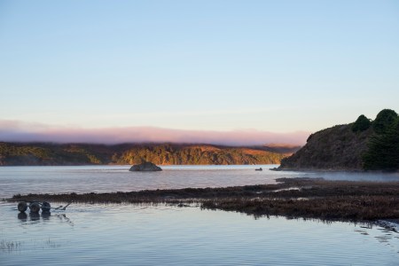 A Weekend in Eureka Means Happy-Hour Oysters and Redwoods - InsideHook