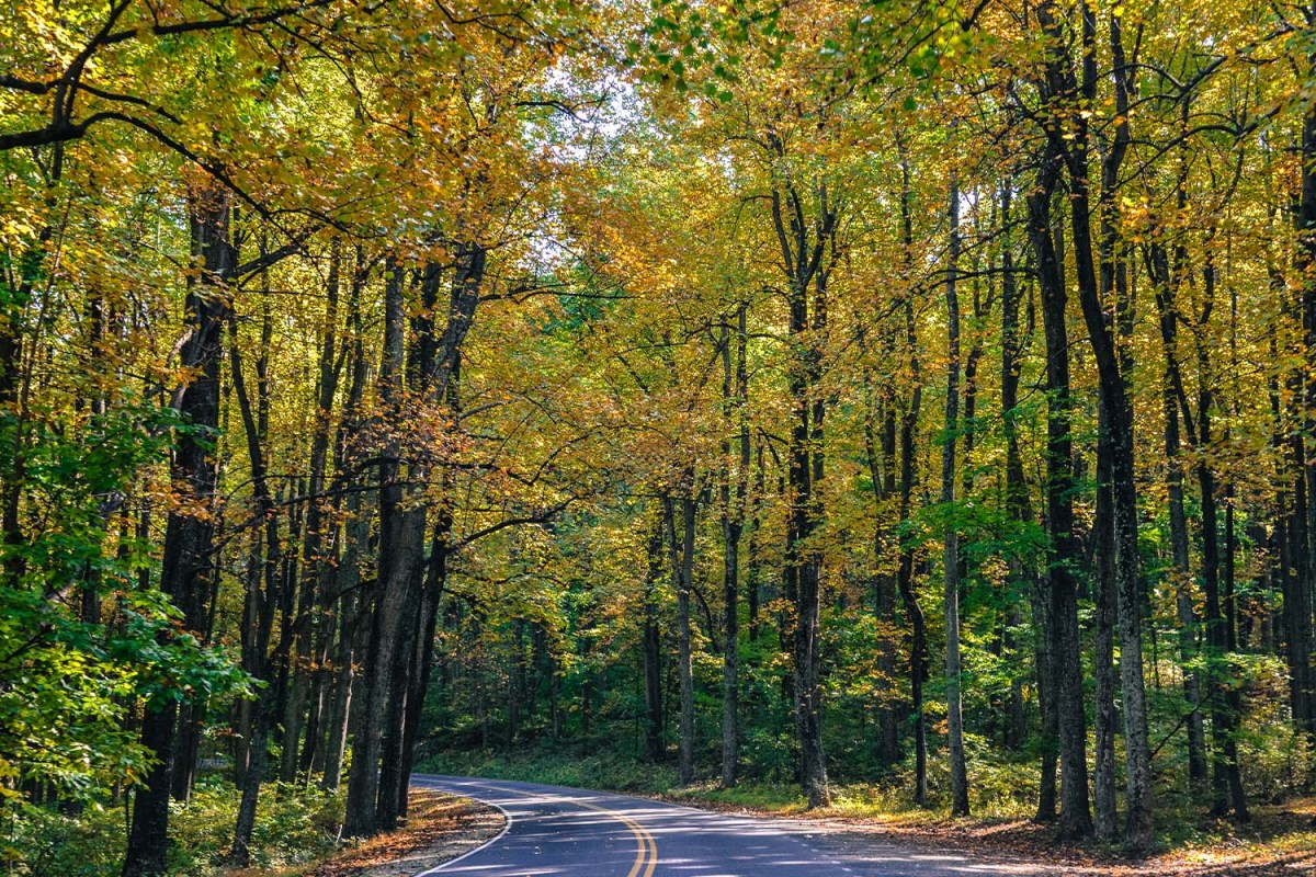 11 Scenic Drives and Hikes For The Best Fall Foliage - InsideHook