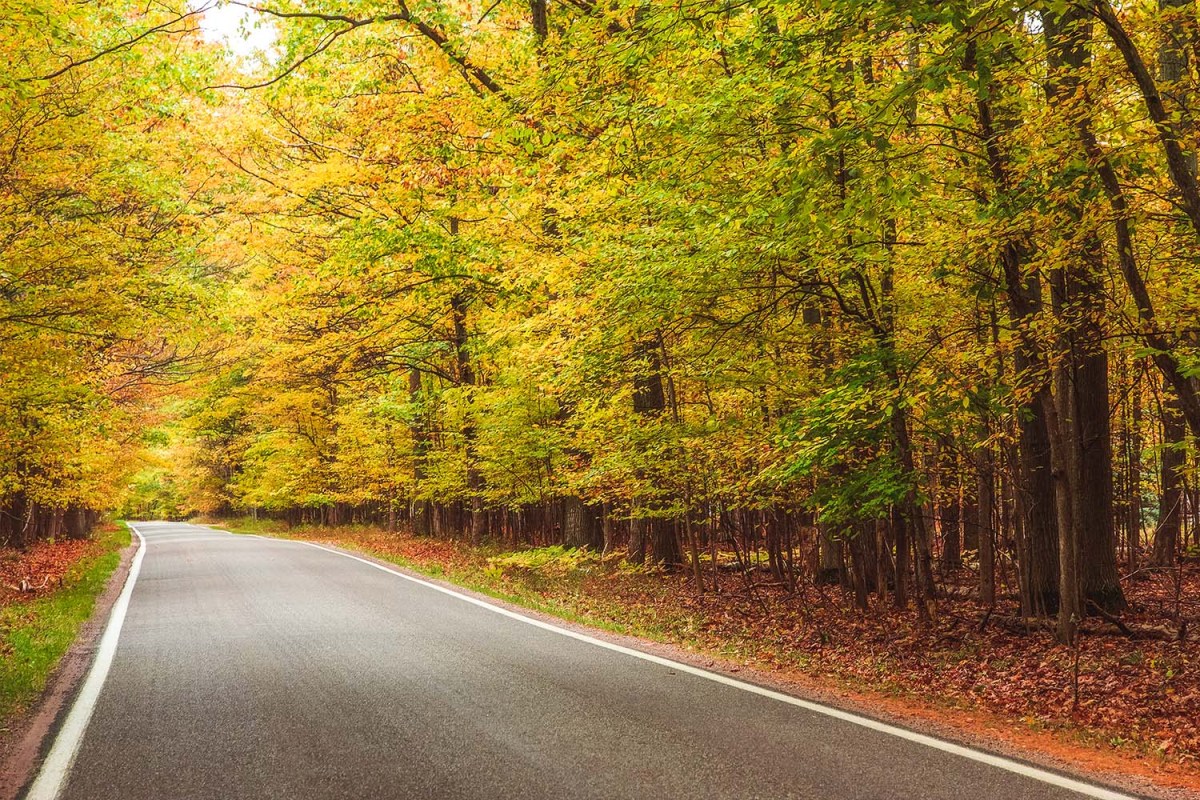 11 Scenic Drives and Hikes For The Best Fall Foliage - InsideHook