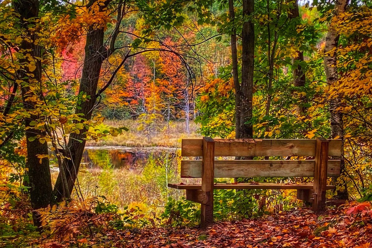 11 Scenic Drives and Hikes For The Best Fall Foliage - InsideHook