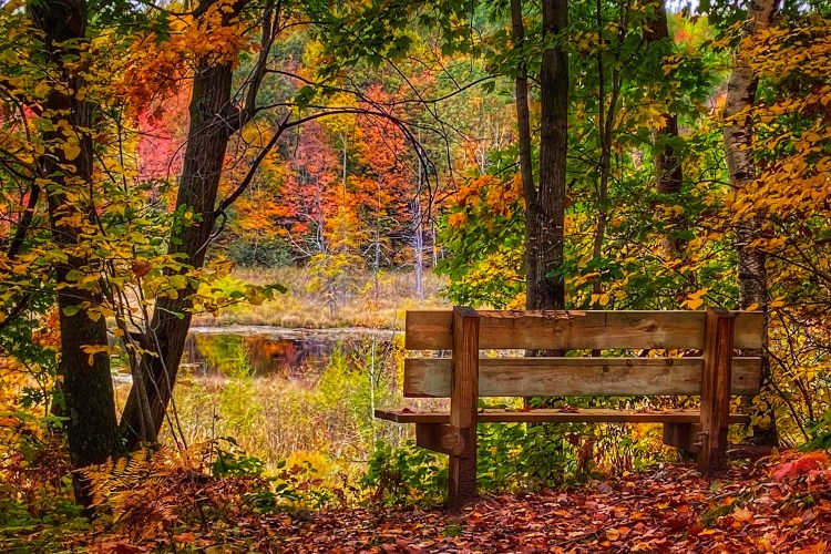 11 Scenic Drives and Hikes For The Best Fall Foliage - InsideHook