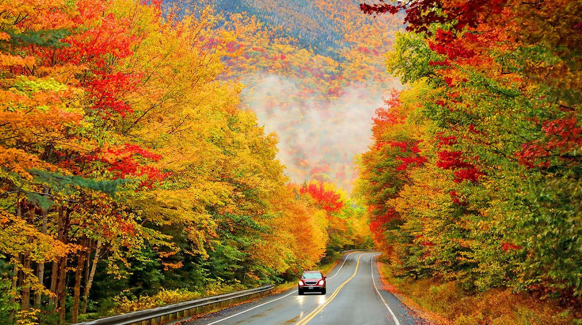 11 Scenic Drives and Hikes For The Best Fall Foliage - InsideHook