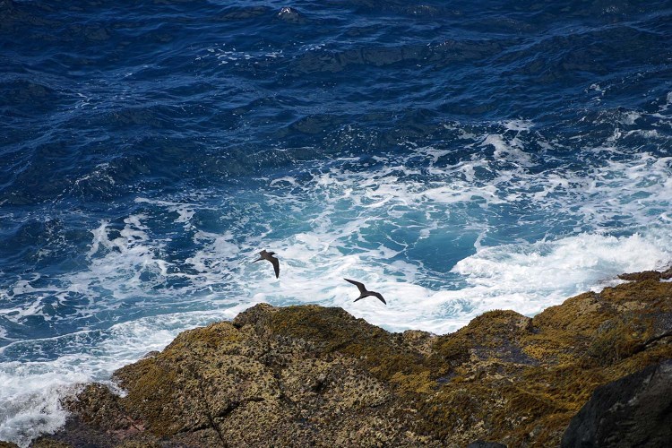Inside the Farthest Park: The National Park of American Samoa - InsideHook