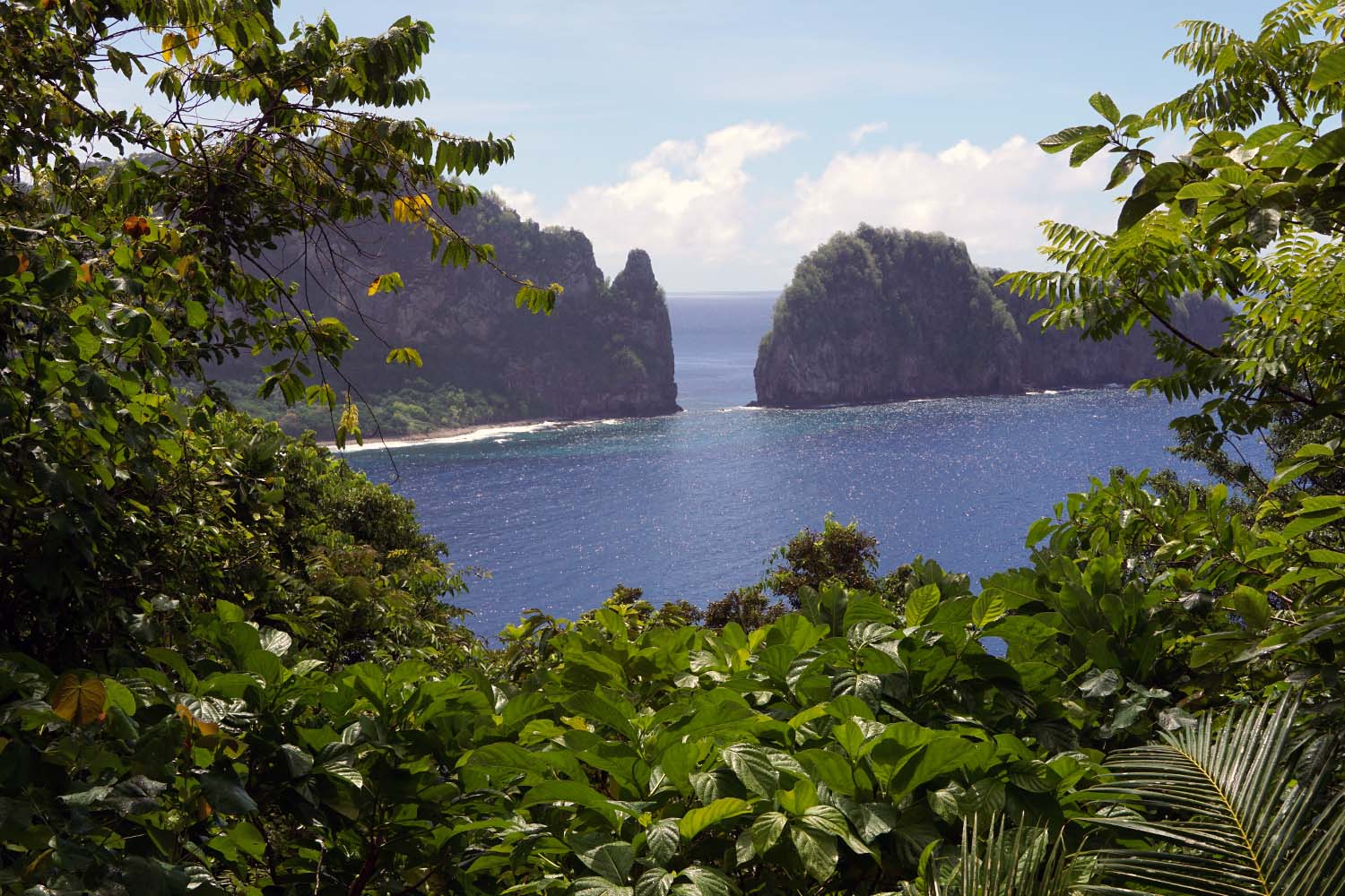 Inside the Farthest Park: The National Park of American Samoa - InsideHook