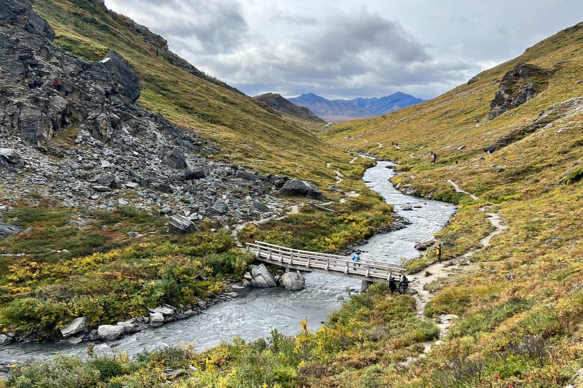 The Denali Star Train Illuminates the Best of Alaska - InsideHook
