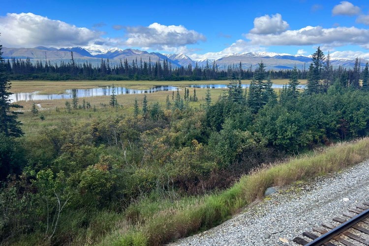 The Denali Star Train Illuminates the Best of Alaska - InsideHook