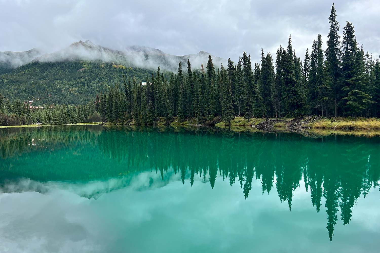 The Denali Star Train Illuminates the Best of Alaska - InsideHook