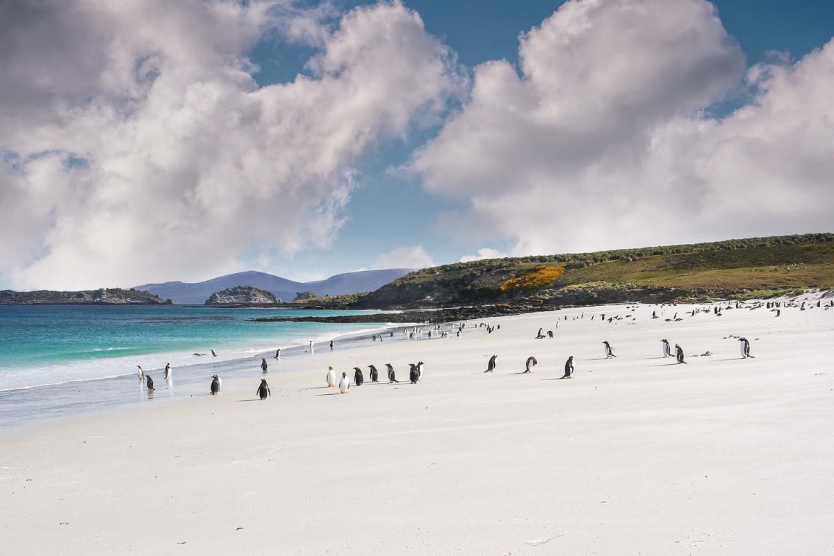 5 Remote Cold-Weather Islands You Need to Visit - InsideHook