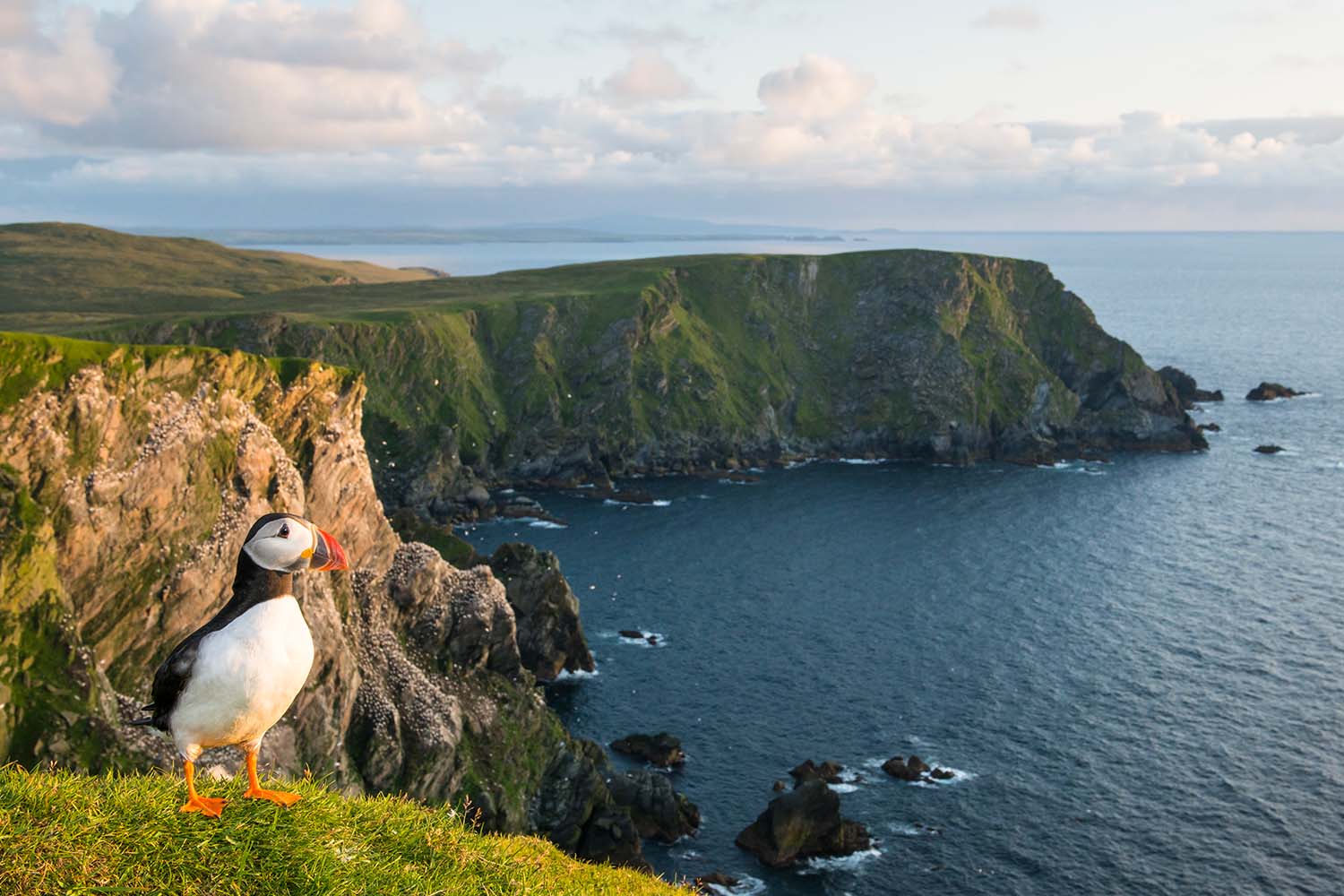 5 Remote Cold-Weather Islands You Need to Visit - InsideHook