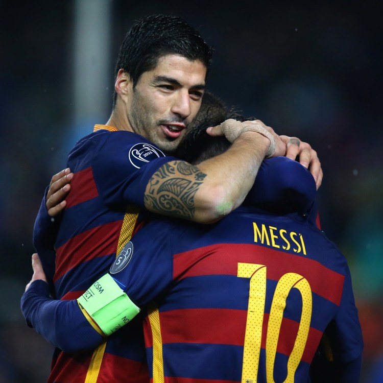 Time-Lapse Photo of an Artichoke Flower Blooming - InsideHook