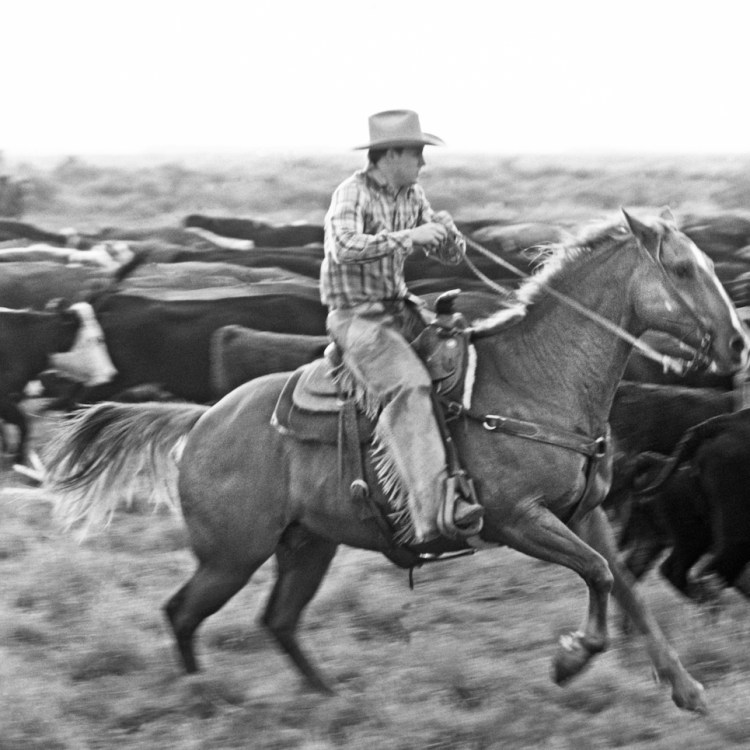 Welcome to the New InsideHook - InsideHook