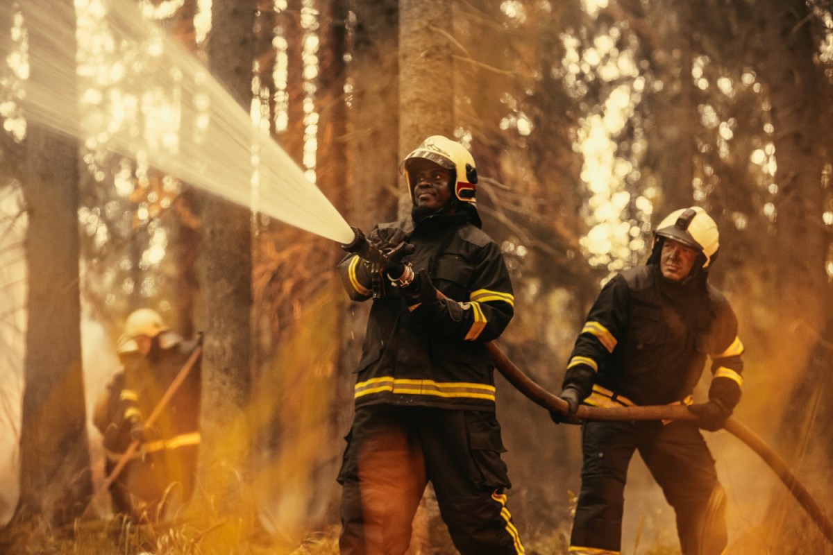 The Latest Side Effect of Climate Change? "Zombie Fires." - InsideHook